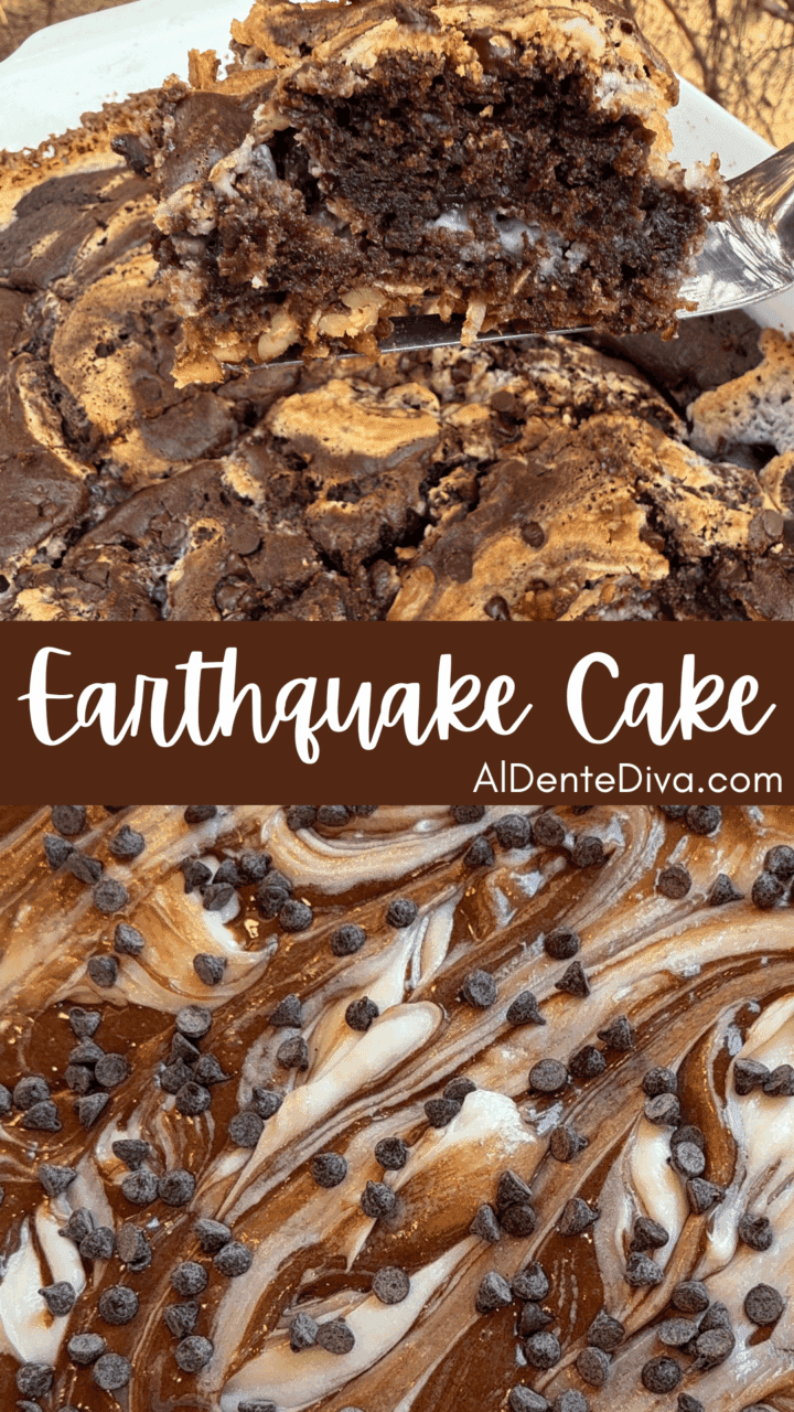 EARTHQUAKE CAKE