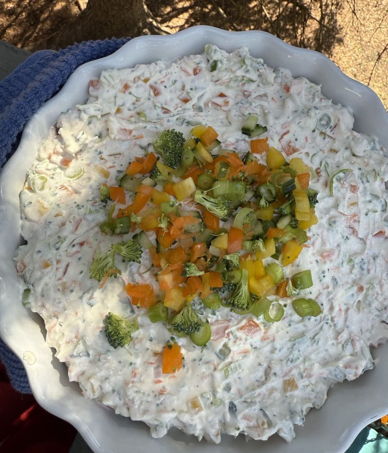 GARDEN VEGETABLE DIP