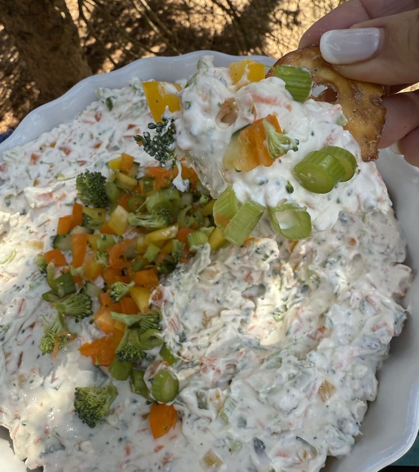 GARDEN VEGETABLE DIP