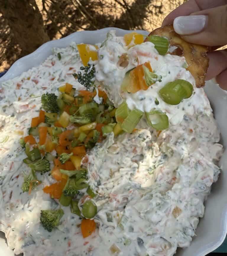 GARDEN VEGETABLE DIP