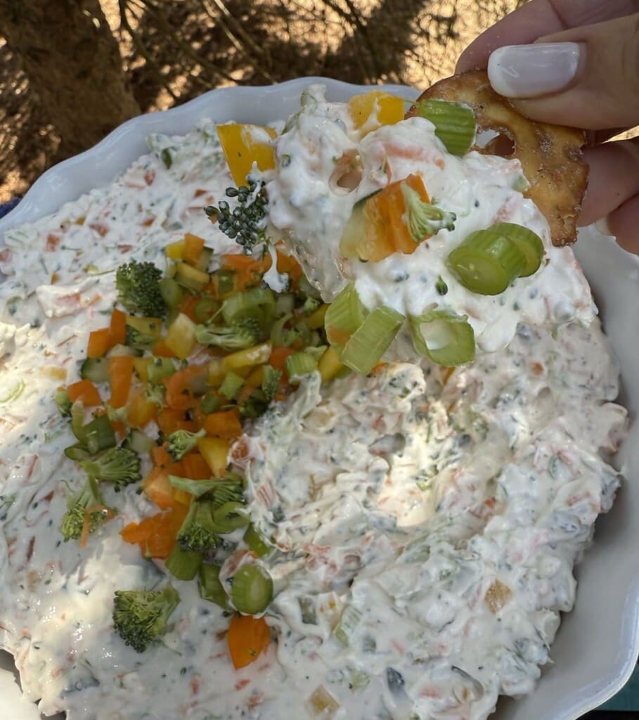 GARDEN VEGETABLE DIP