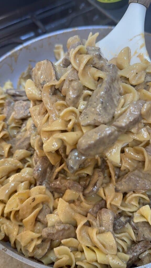 RUSSIAN BEEF STROGANOFF